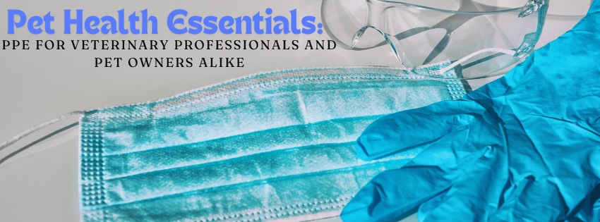 Pet Health Essentials: PPE for Veterinary Professionals and Pet Owners ...