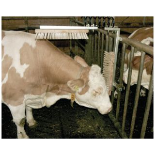 Cattle Handling - Oz General Store