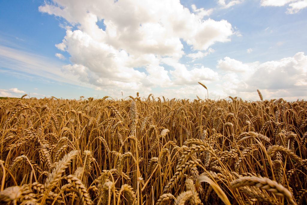 Agriculture/Farming - Oz General Store