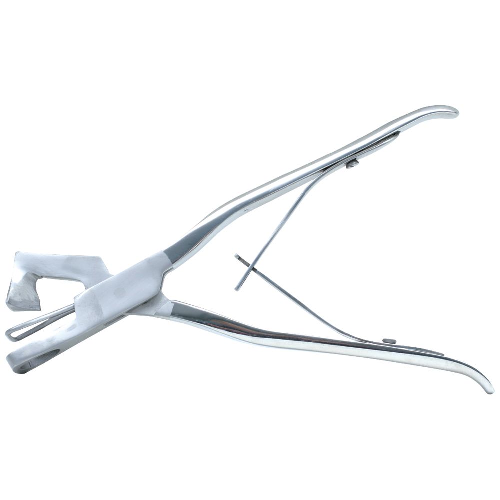 Shoof Ear Marker HGP (Triangle) Economy - Oz General Store