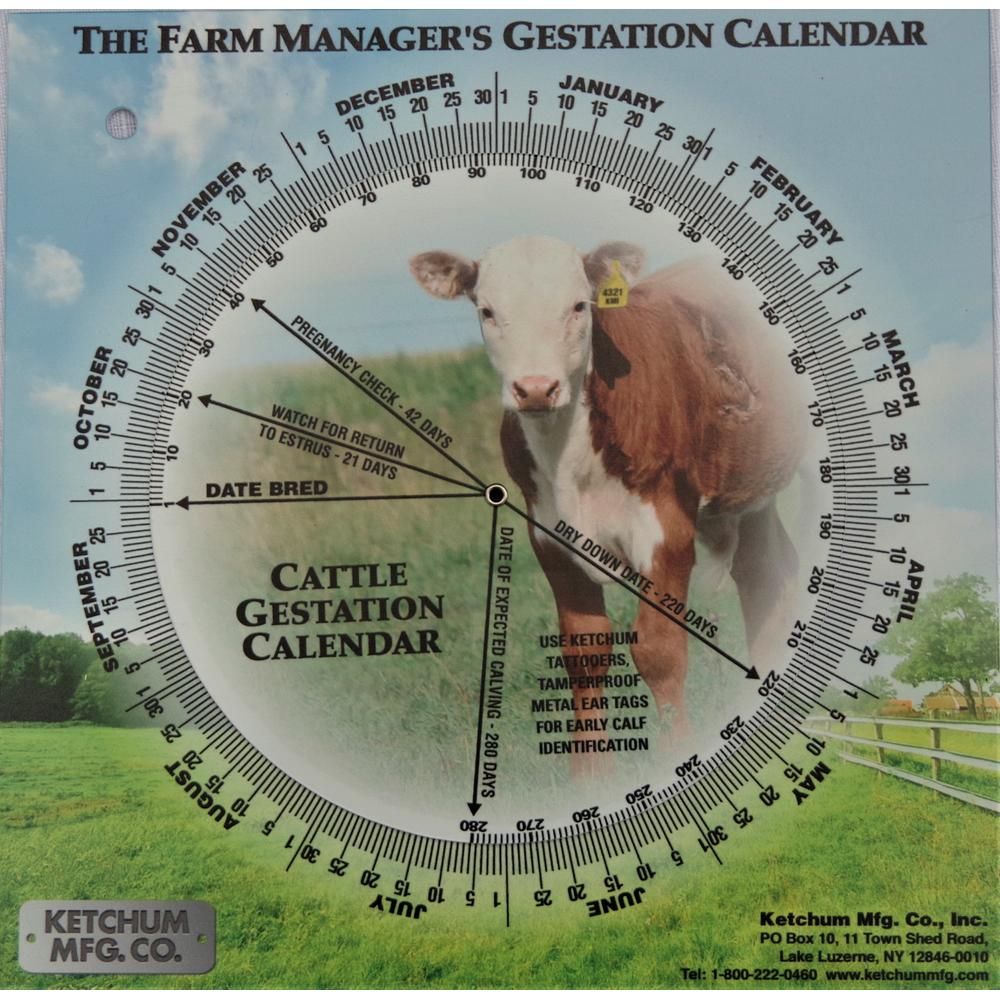 Shoof Gestation Calendar Cow - Oz General Store
