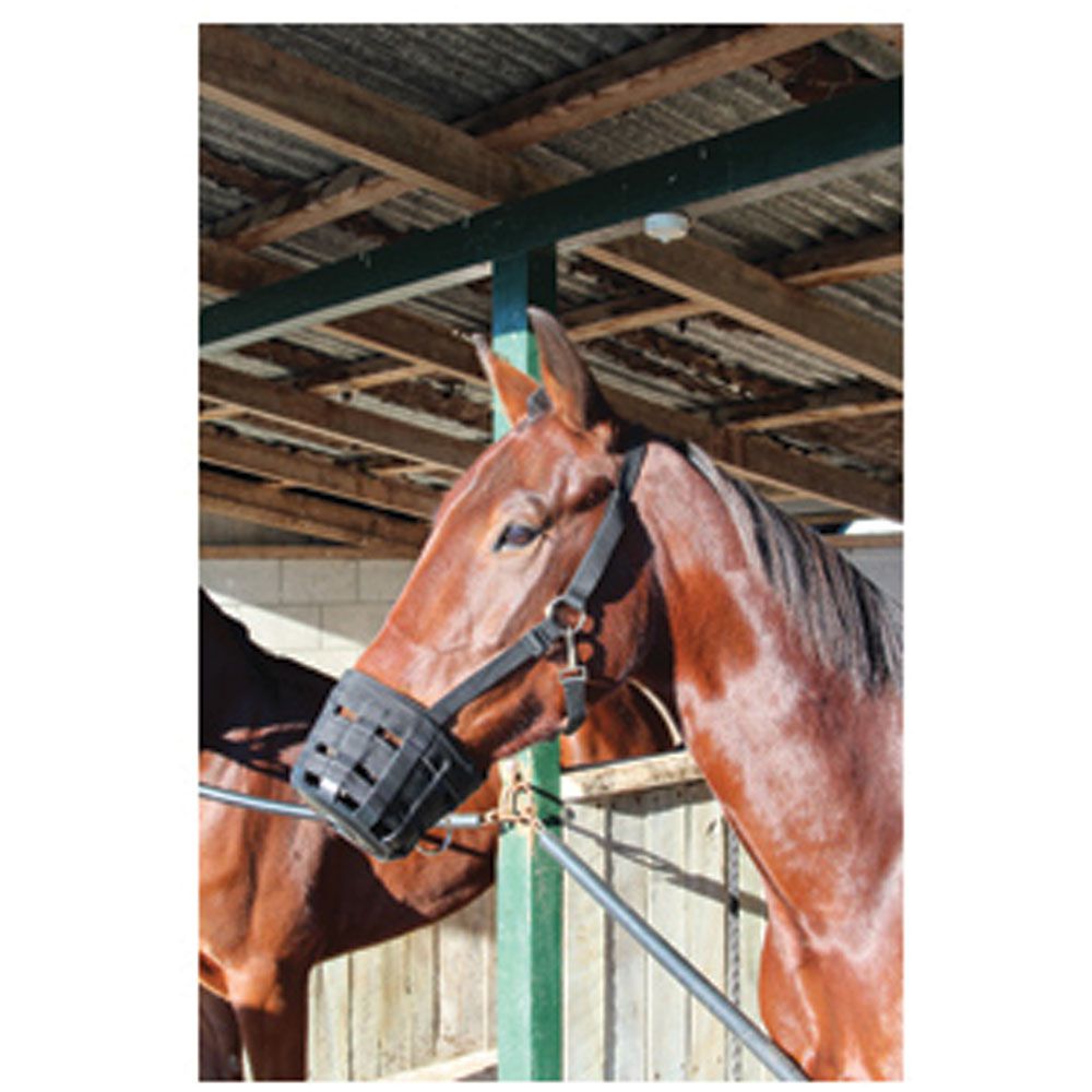 Shoof Horse Muzzle Kerbl Full Size - Oz General Store